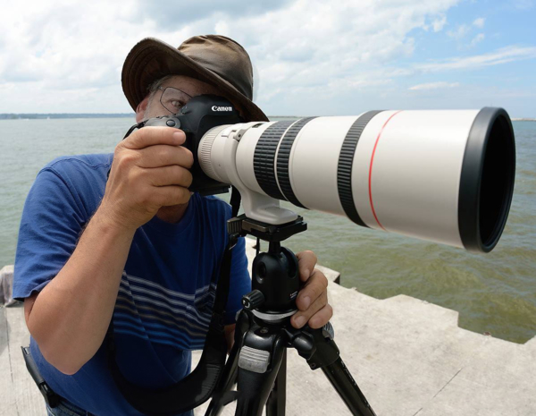 Dale Kincaid - Official Website